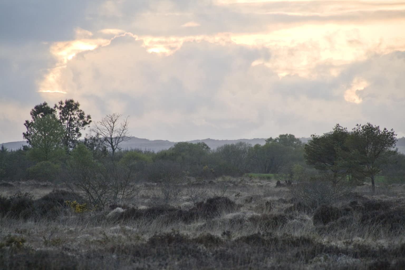 R.N.N du du Venec - Bretagne Vivante